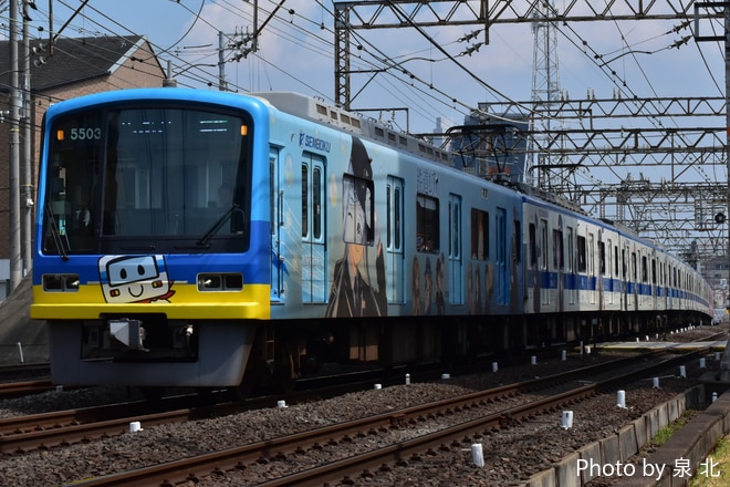 光明池車庫 5000系 5503F の写真 |鉄道写真投稿サイトTrain-Directory