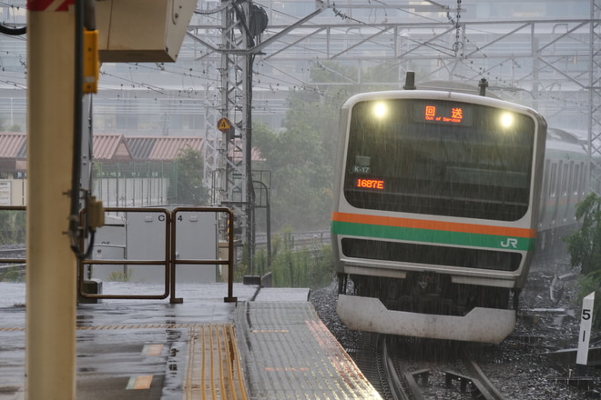 国府津車両センター E231系 K-17編成 の写真 |鉄道写真投稿サイトTrain-Directory